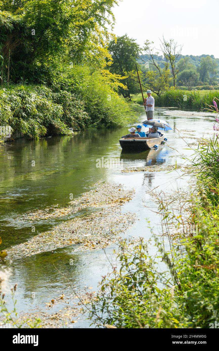 People punting on the River Avon in Queen Elizabeth Gardens, Salisbury ...
