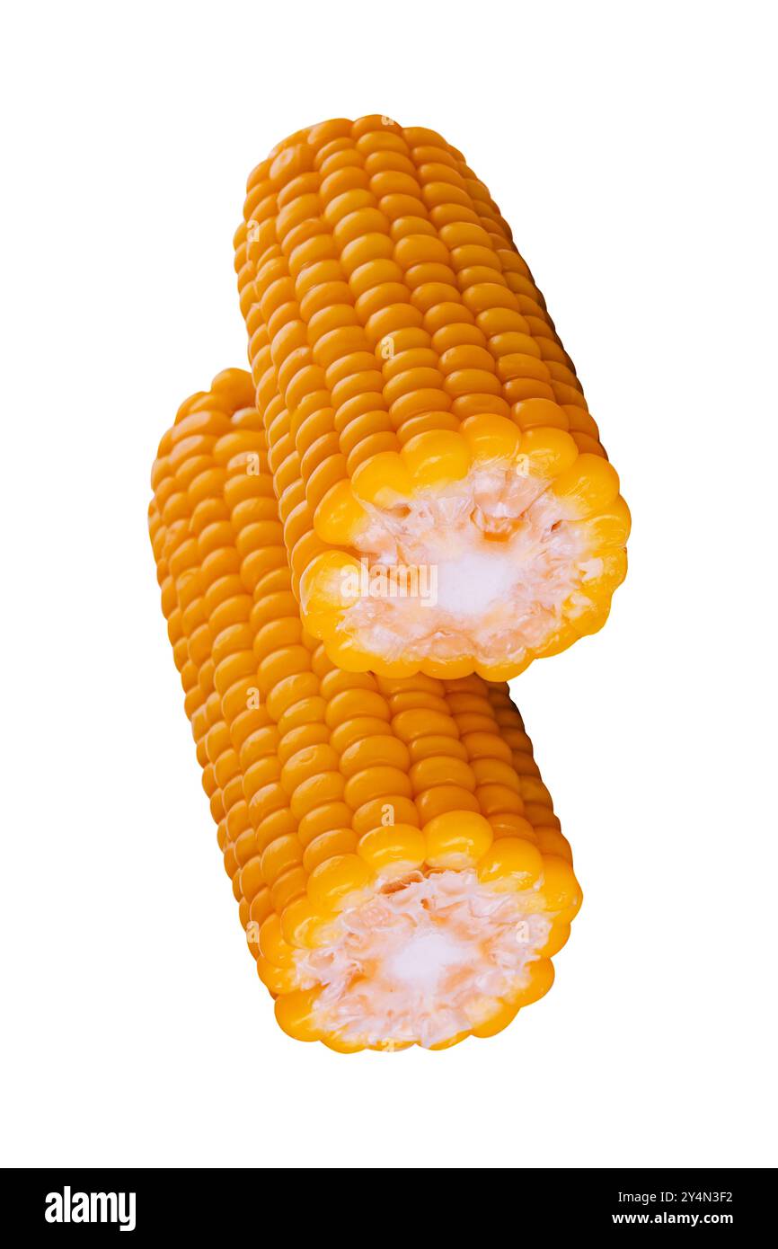 Boiled corn isolated on white background Stock Photo - Alamy