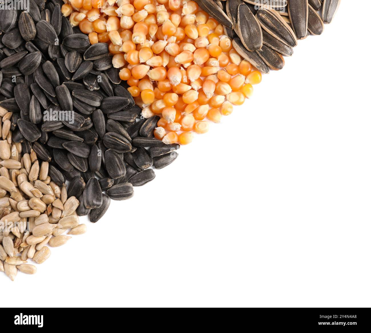 Different sunflower seeds and corn kernels isolated on white, top view ...