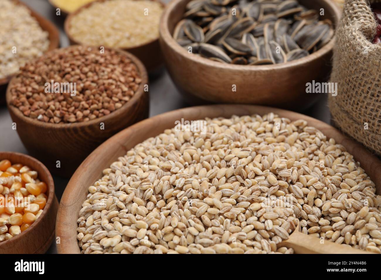 Different types of cereals and seeds on grey table, closeup Stock Photo ...