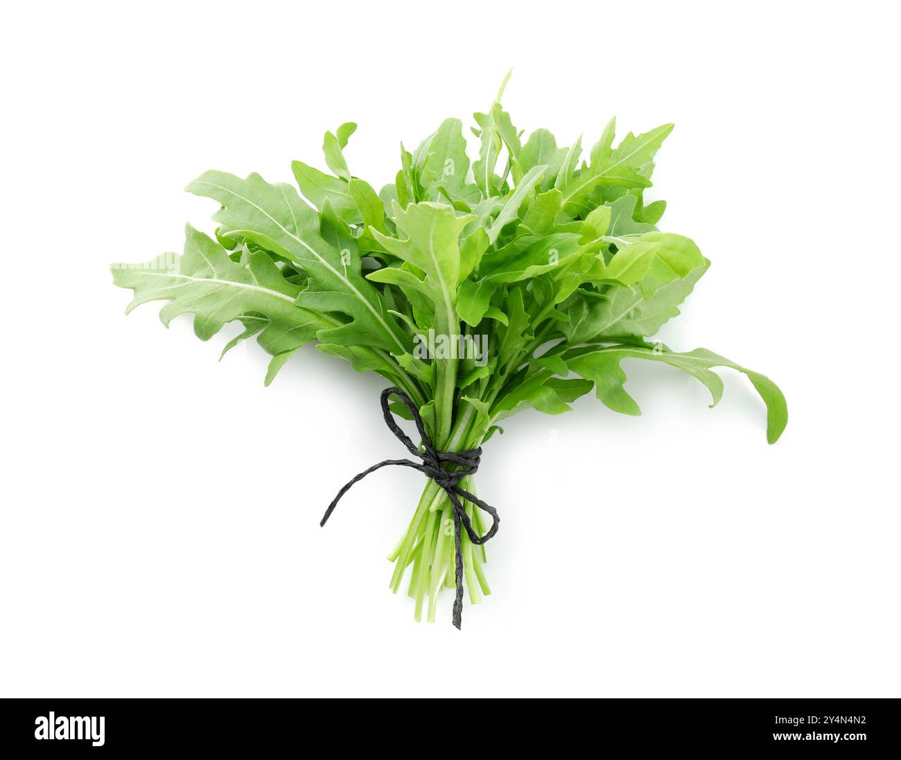 Top view green useful Cut Out Stock Images & Pictures - Alamy