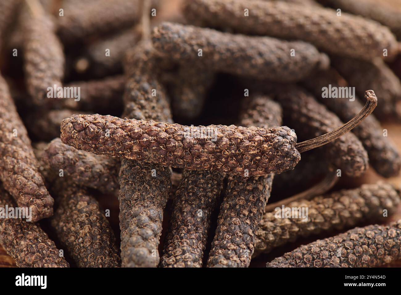 Java long pepper hi-res stock photography and images - Alamy