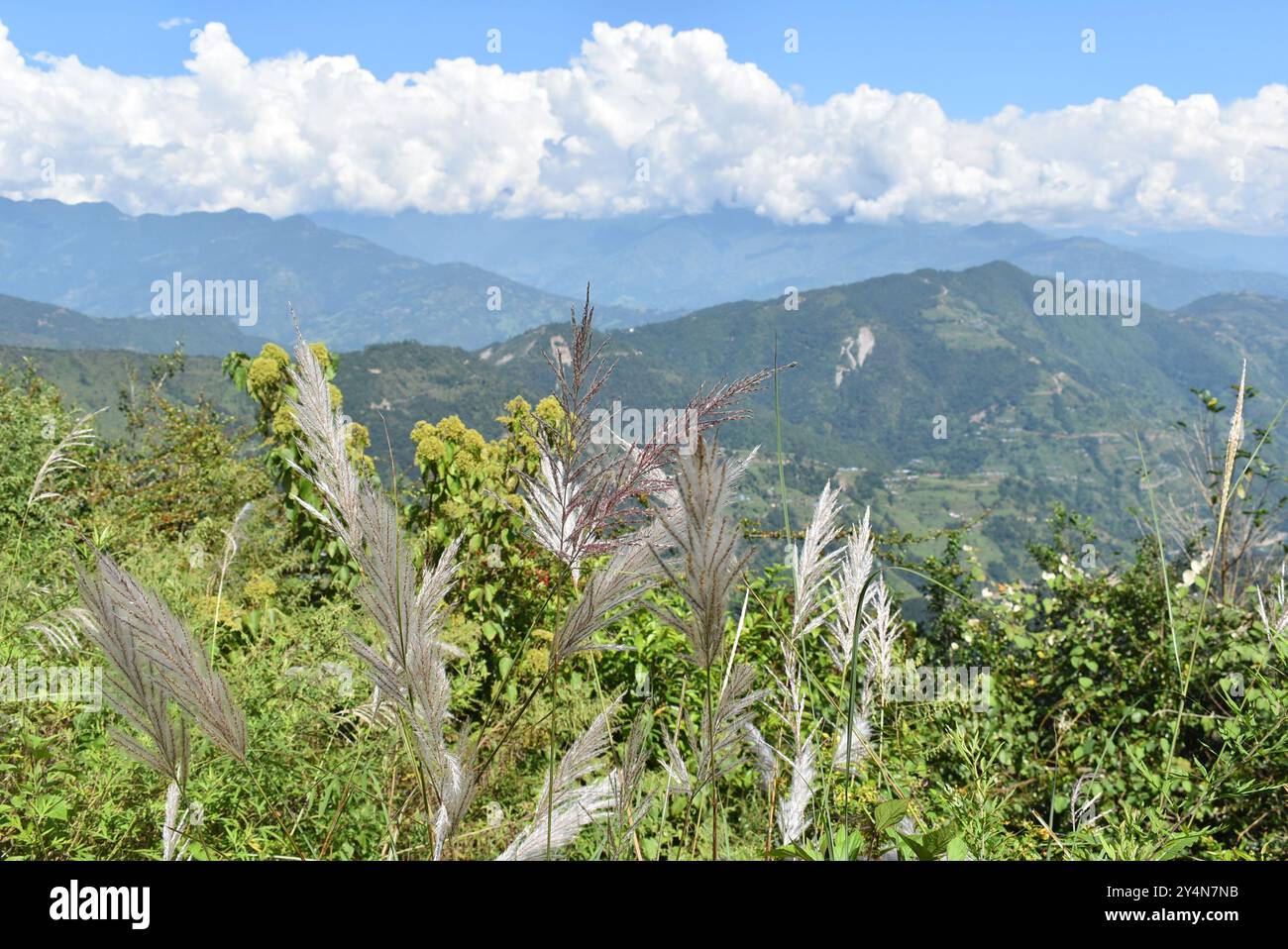 Sundarijal and Chisapani: A Journey Through Nature and Heritage Stock ...