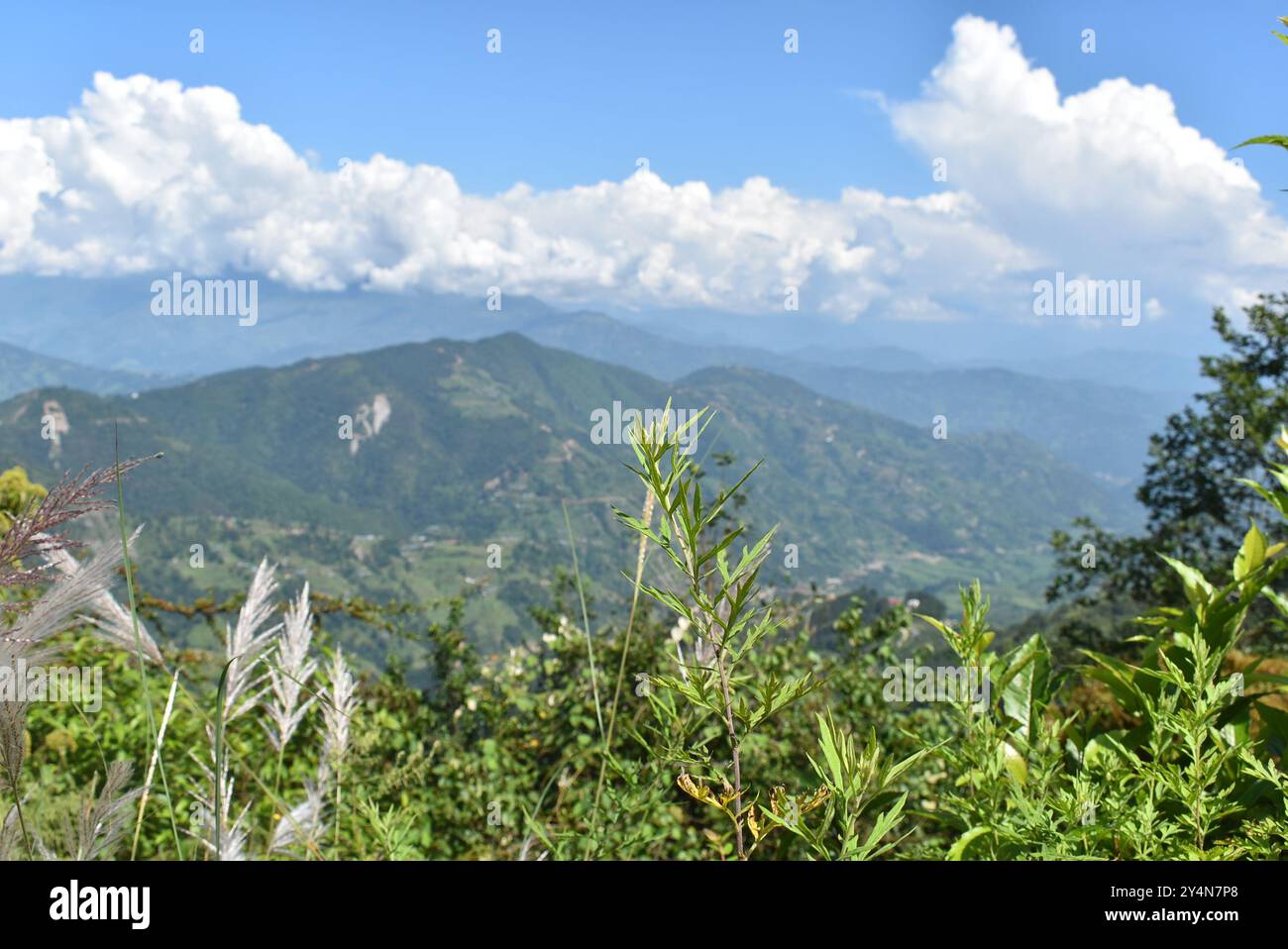 Sundarijal and Chisapani: A Journey Through Nature and Heritage Stock ...