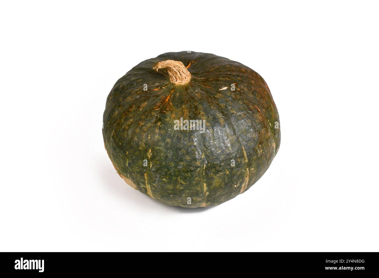 Green squash on white background Stock Photo - Alamy