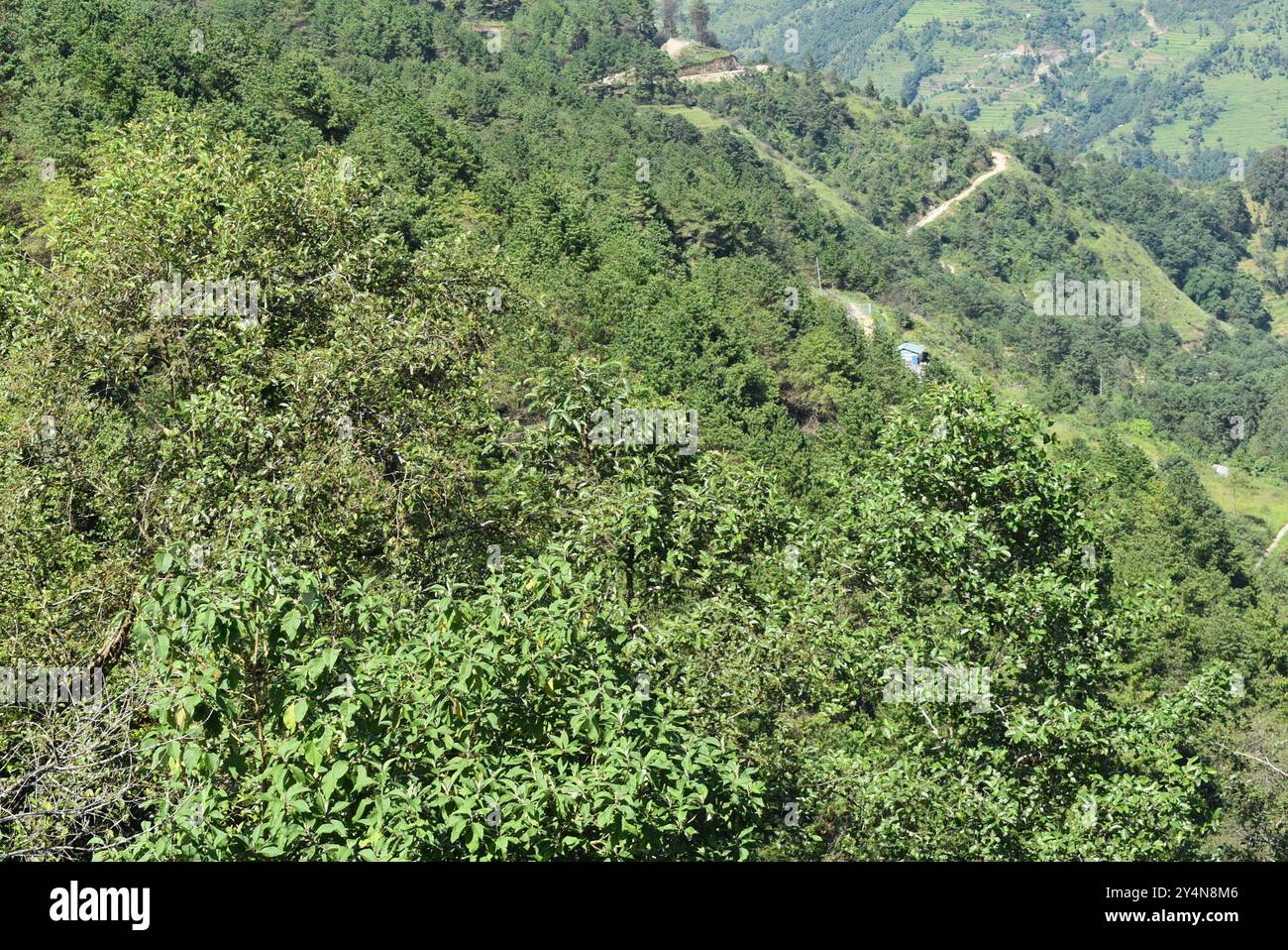 Sundarijal and Chisapani: A Journey Through Nature and Heritage Stock ...