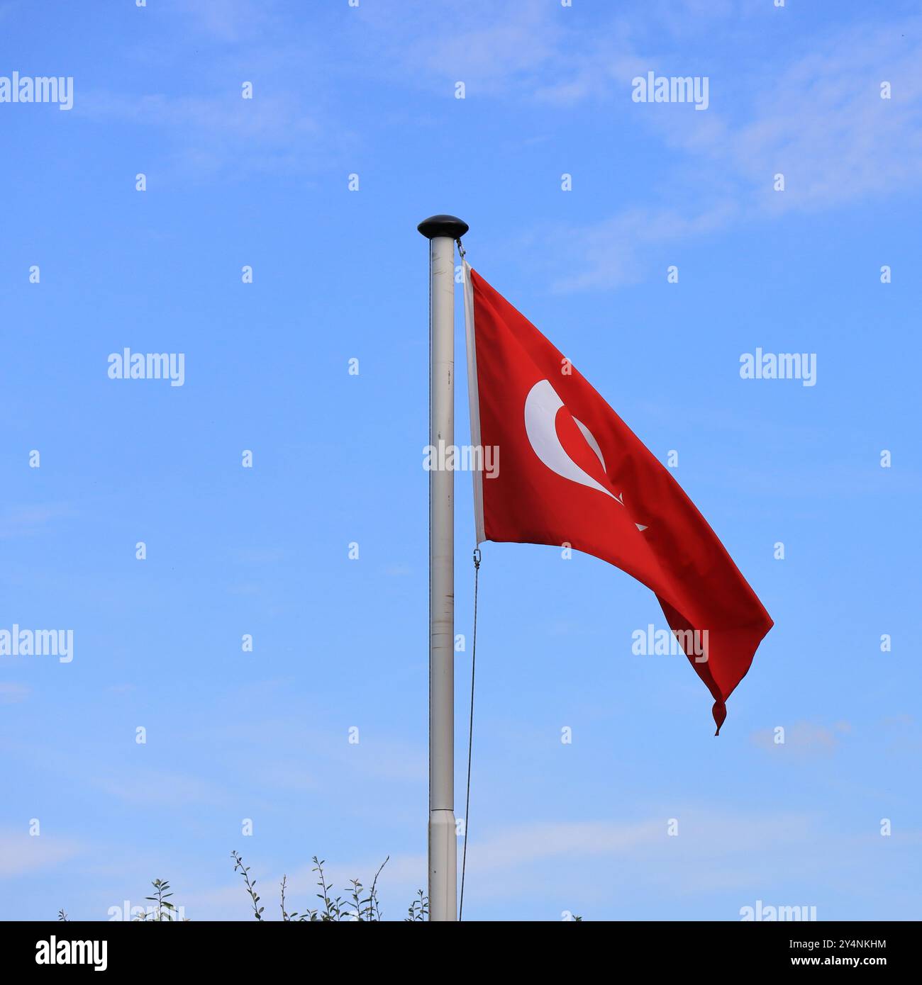 Turkish flag 1800s hi-res stock photography and images - Alamy