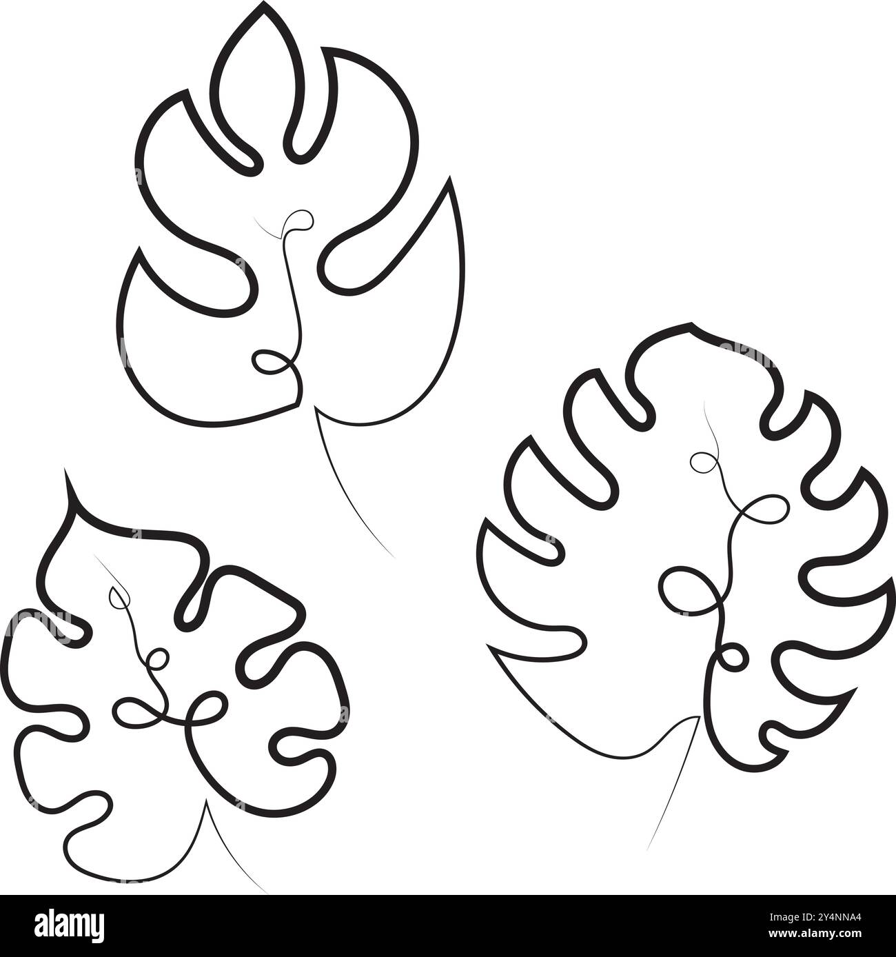 Tropical leaves line art Stock Vector Images - Alamy