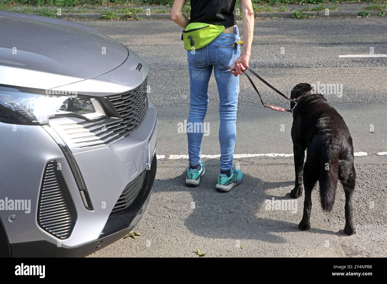 SUV Und Unfallrisiken Die Hohe Front Eines Bulligen SUV Im Vergleich suv-und-unfallrisiken-die-hohe-front-eines-bulligen-suv-im-vergleich