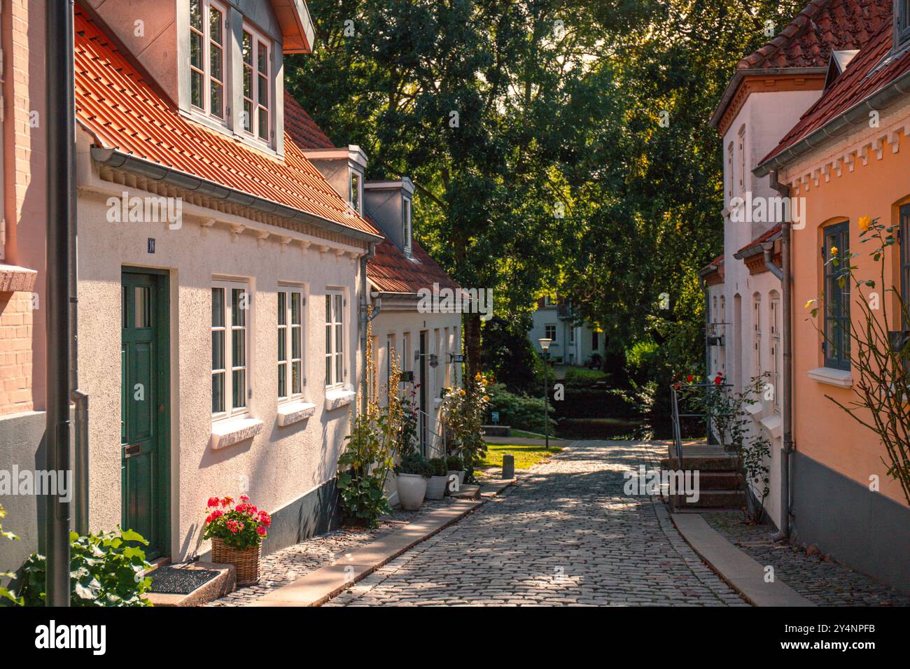 Vibrant Odense: Capturing the charm of colorful Scandinavian ...