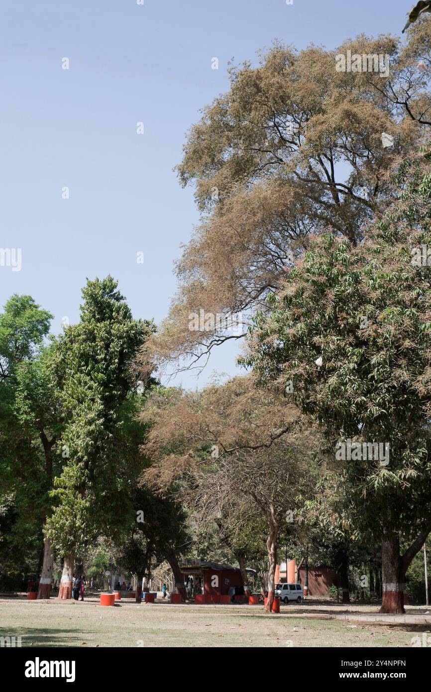 Sayaji garden hi-res stock photography and images - Alamy