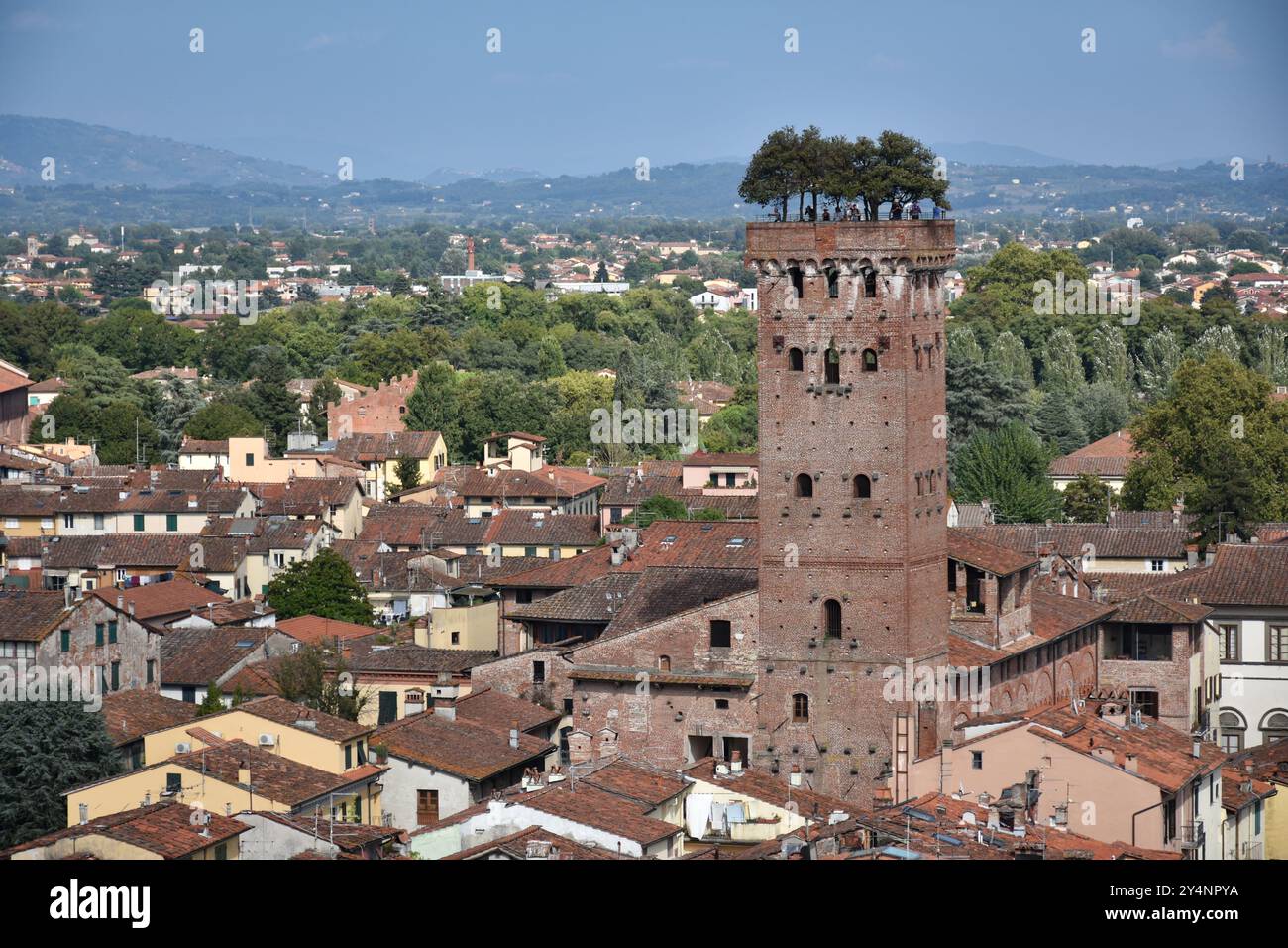 Lucca Oak Trees On Top Of Torre Guinigi Tower Stock Photo - Alamy