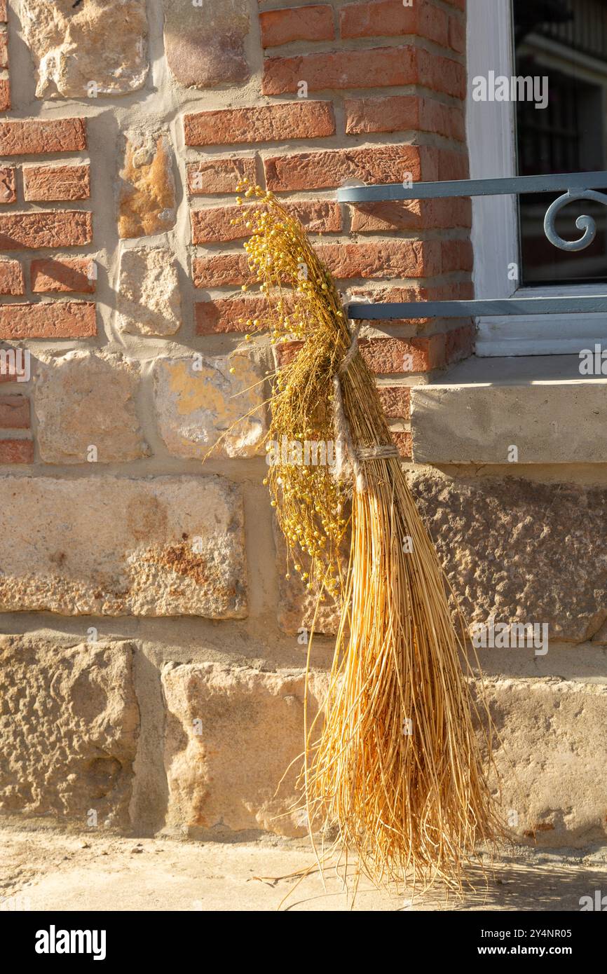 Sheaf of dried flax hi-res stock photography and images - Alamy