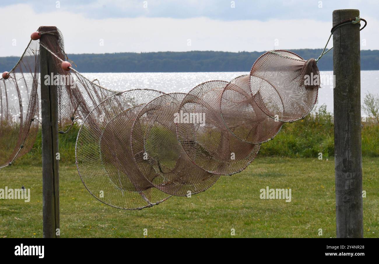 Fischreusen haengen zum Trocknen im kleinen Hafen von Nyord auf der ...