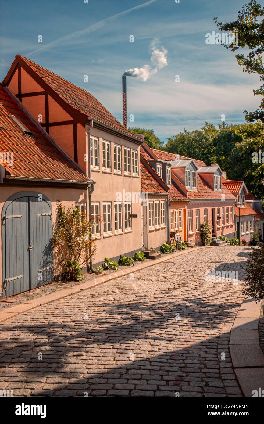Vibrant Odense: Capturing the charm of colorful Scandinavian ...