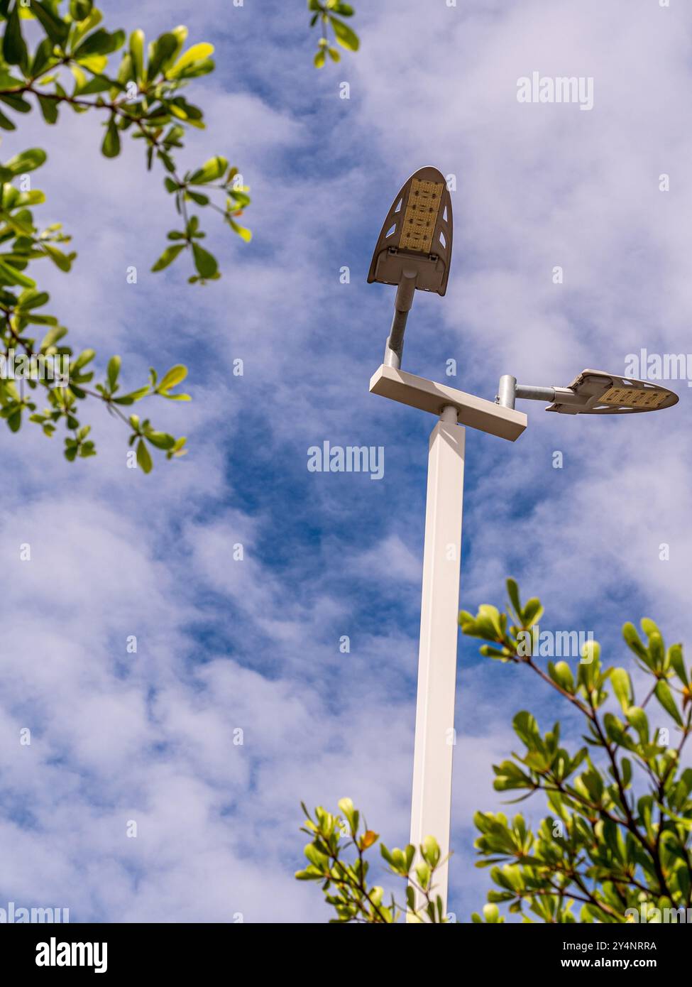 LED street lights on high steel pillars beside the tree and the white ...