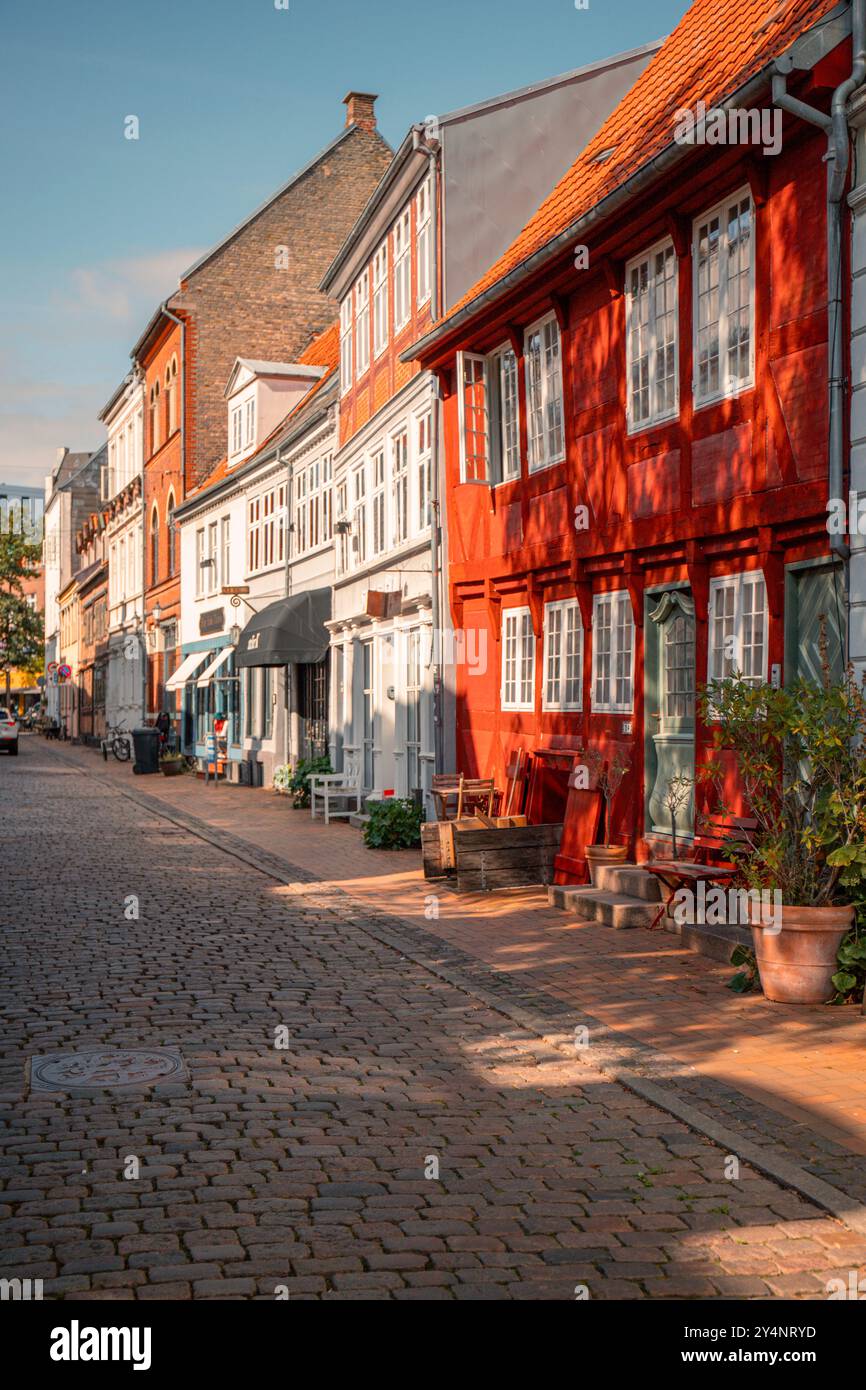 Vibrant Odense: Capturing the charm of colorful Scandinavian ...