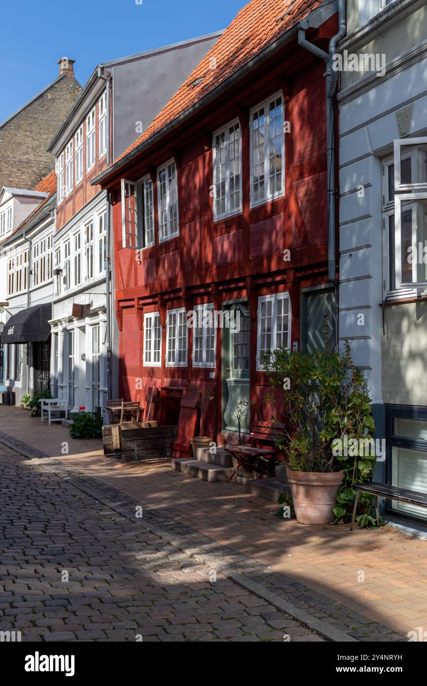 Vibrant Odense: Capturing the charm of colorful Scandinavian ...
