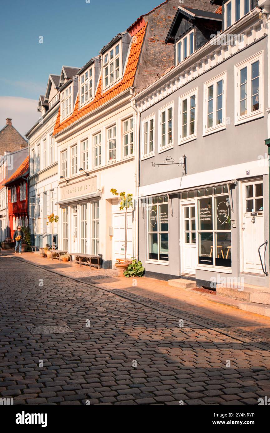 Vibrant Odense: Capturing the charm of colorful Scandinavian ...