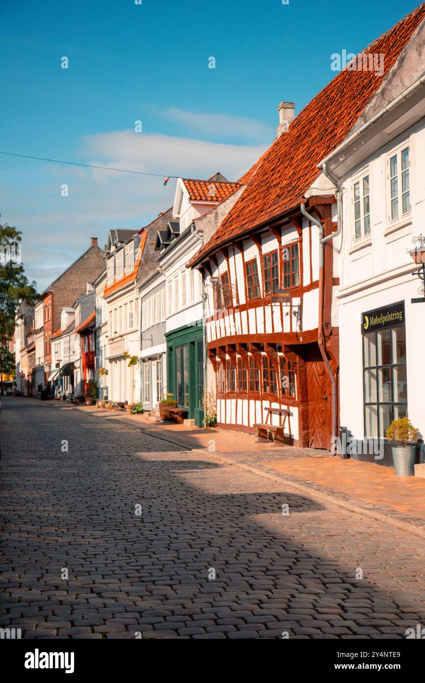 Vibrant Odense: Capturing the charm of colorful Scandinavian ...