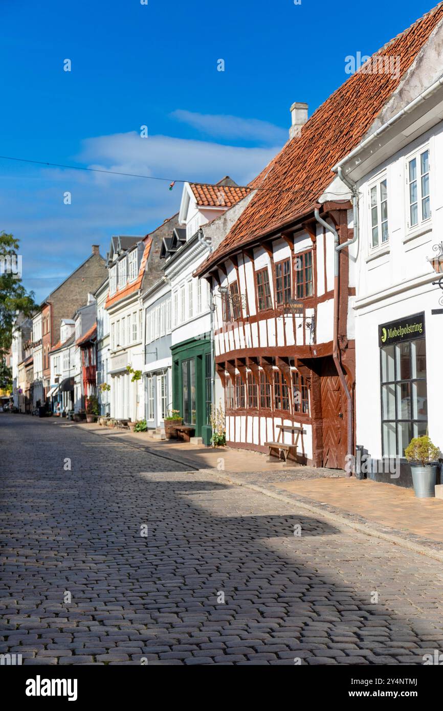 Vibrant Odense: Capturing the charm of colorful Scandinavian ...