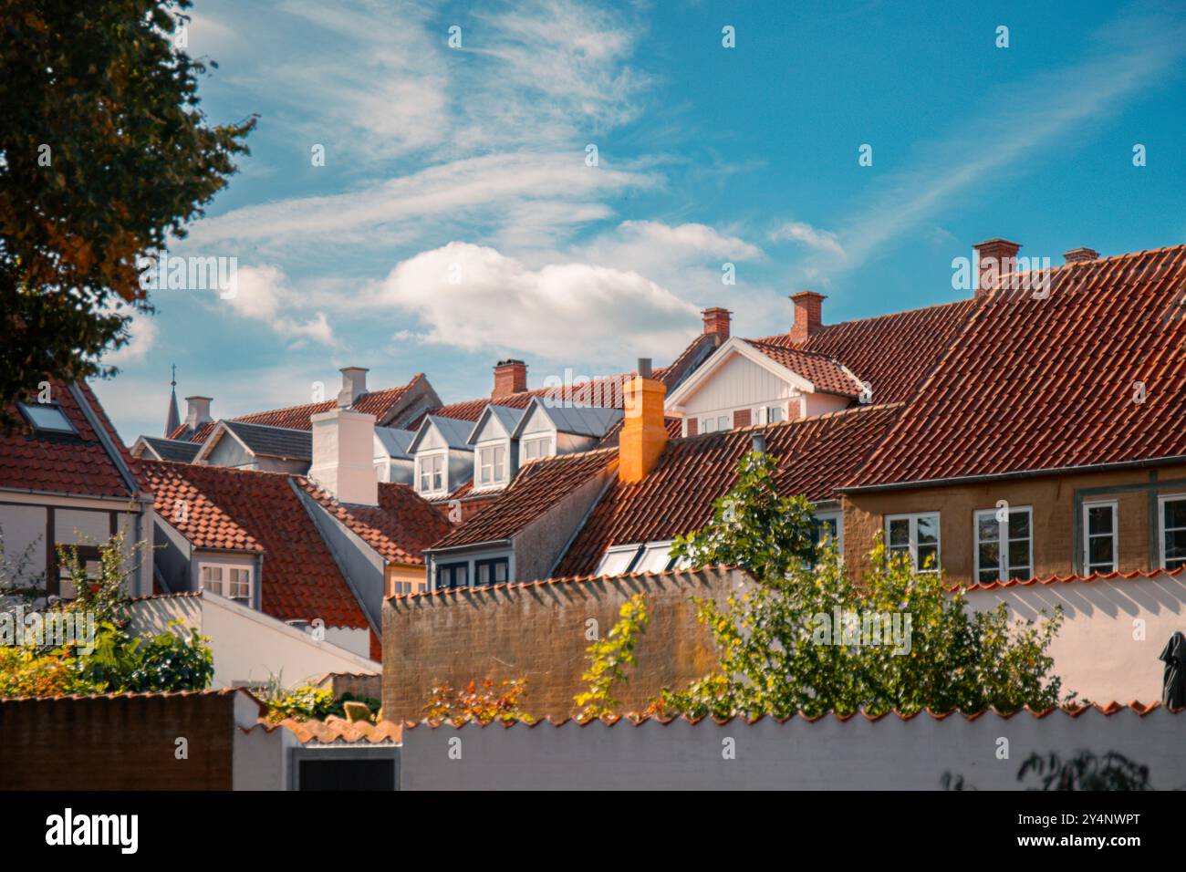 Vibrant Odense: Capturing the charm of colorful Scandinavian ...