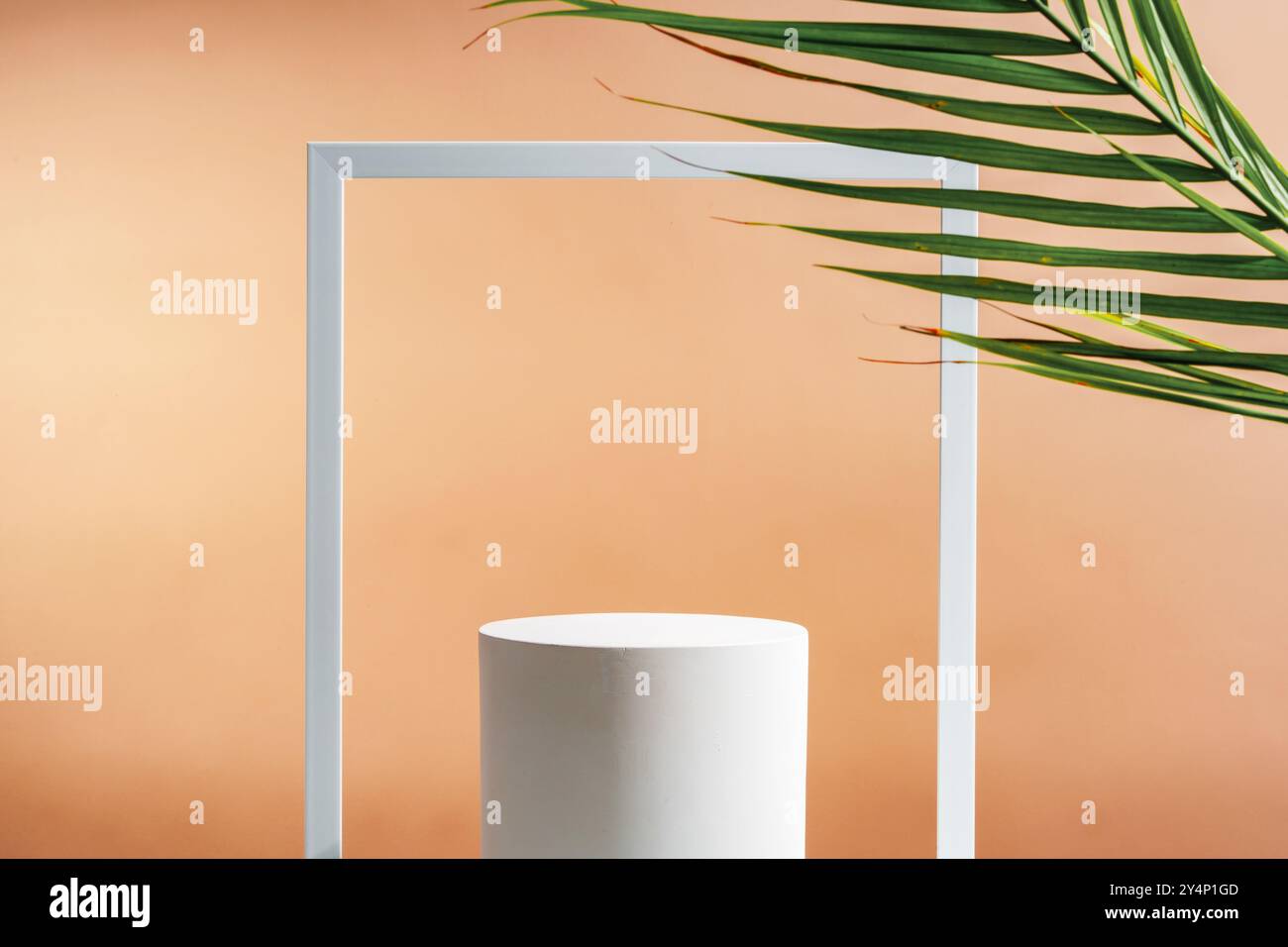 Minimalistic display of a white cylindrical object framed by a white ...