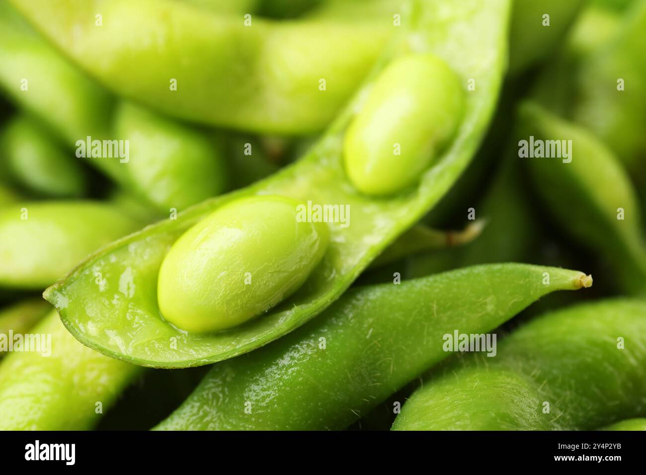 Fresh edamame pods with soybeans as background, closeup Stock Photo - Alamy