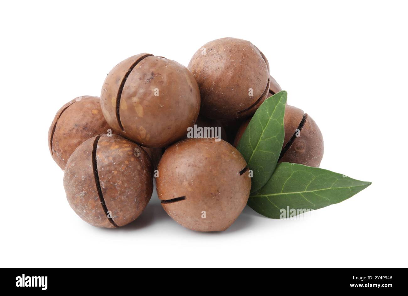 Macadamia nuts in shells isolated on white Stock Photo - Alamy