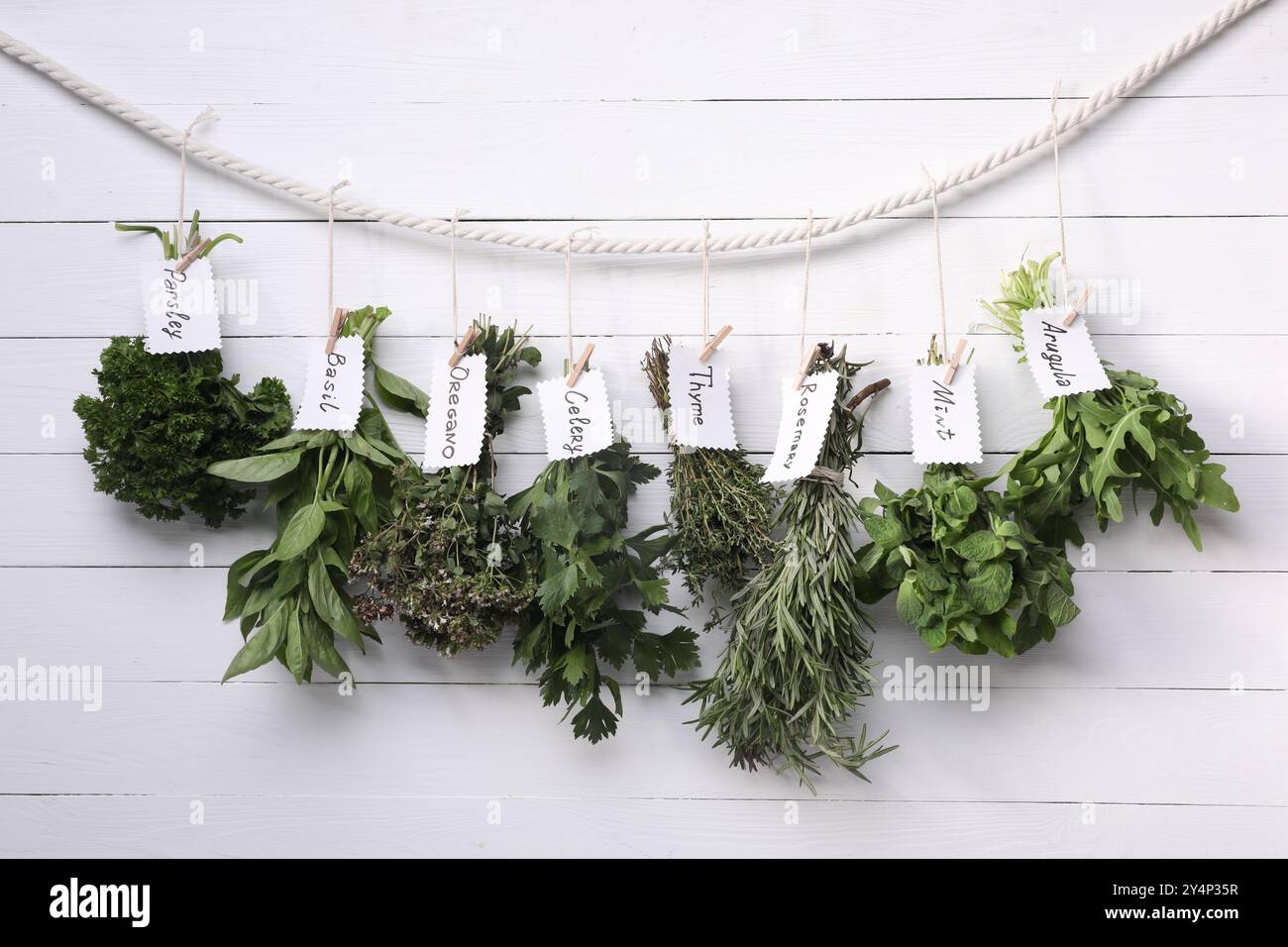 Bunches of different aromatic herbs and notes with names hanging on ...