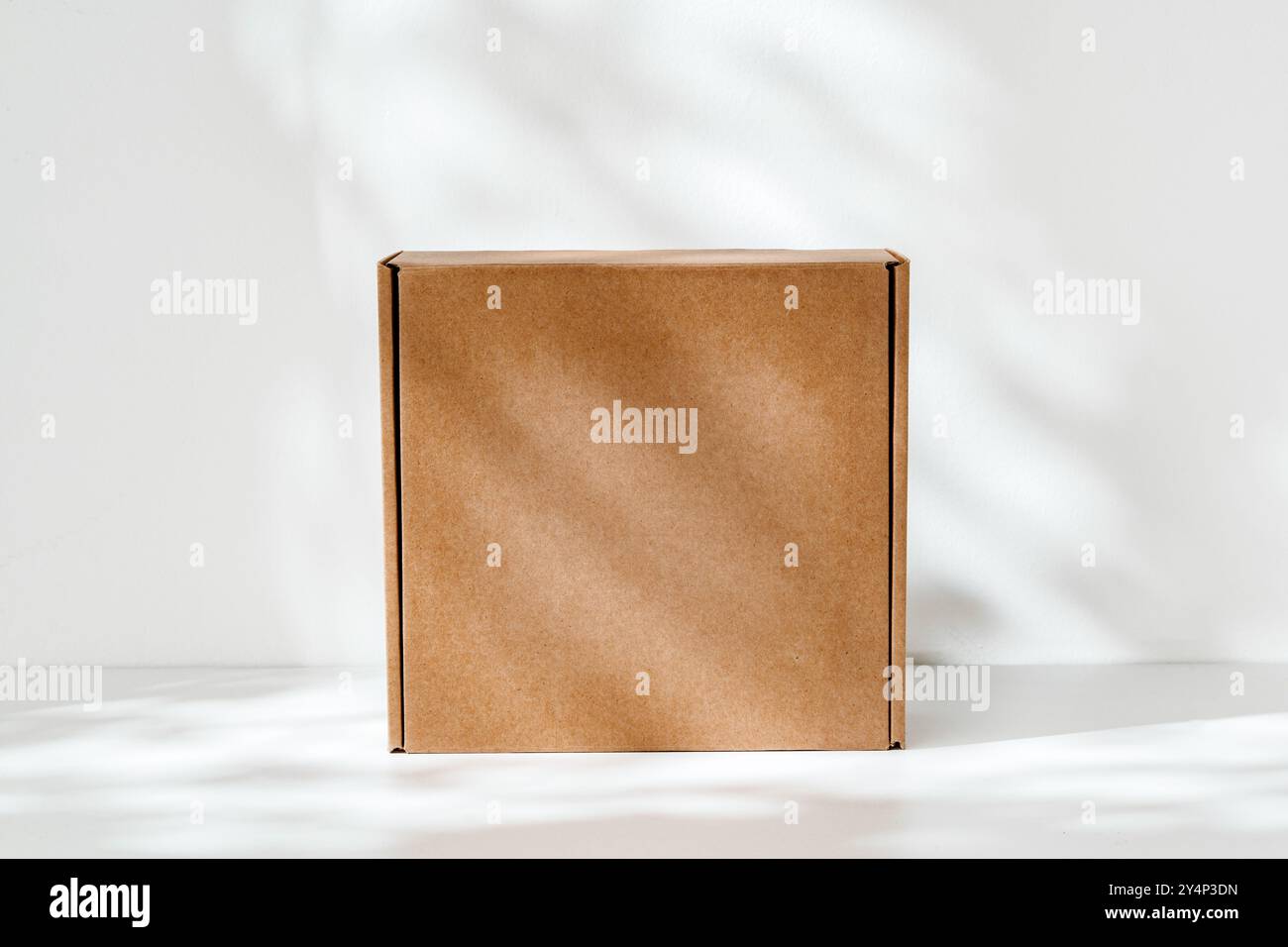 Simple brown cardboard box positioned on a white surface with soft ...