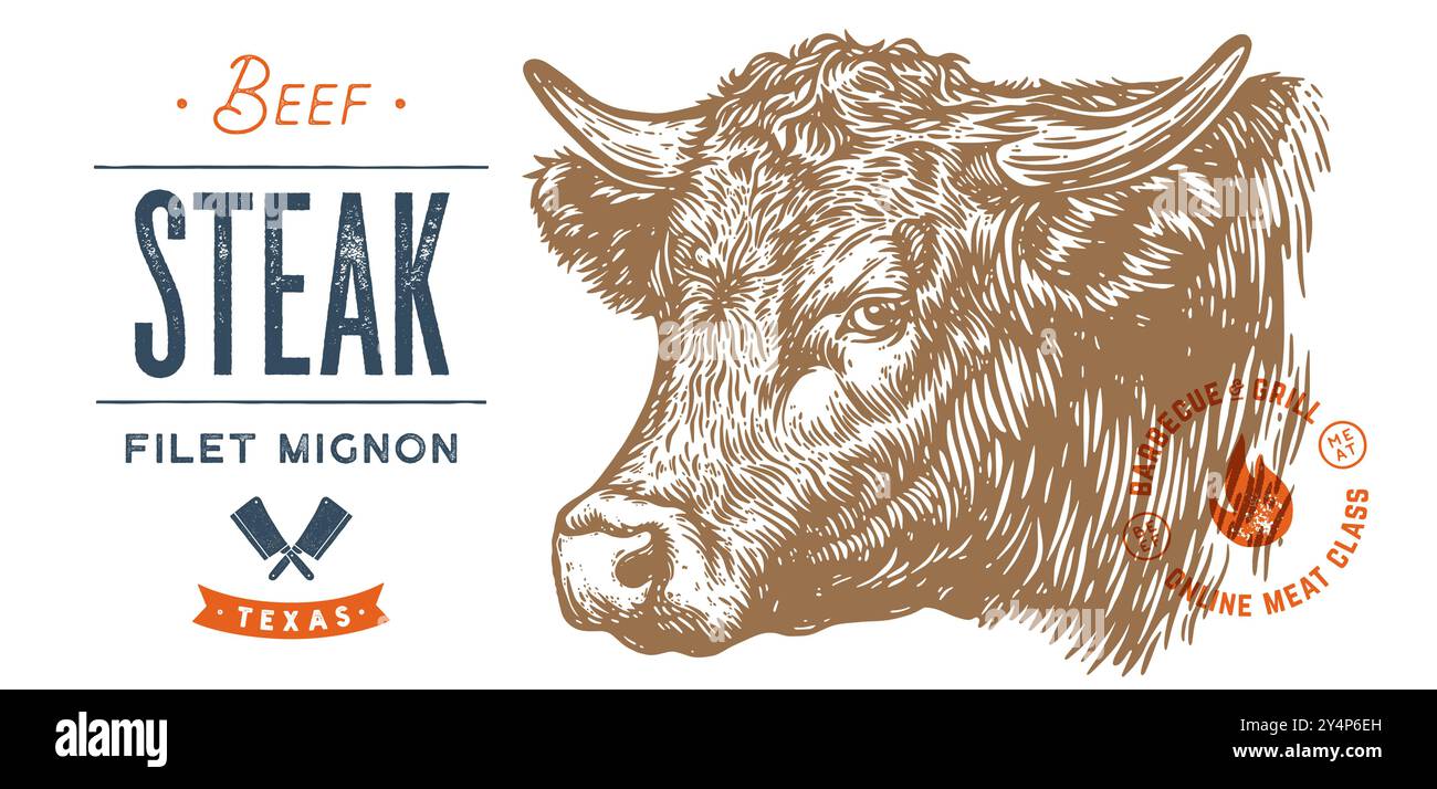 Vintage engraved cow head Cut Out Stock Images & Pictures - Alamy