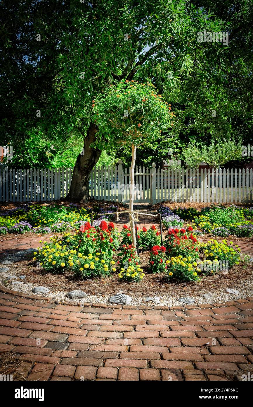 The Raleigh Tavern Garden in full bloom in the historic district of ...