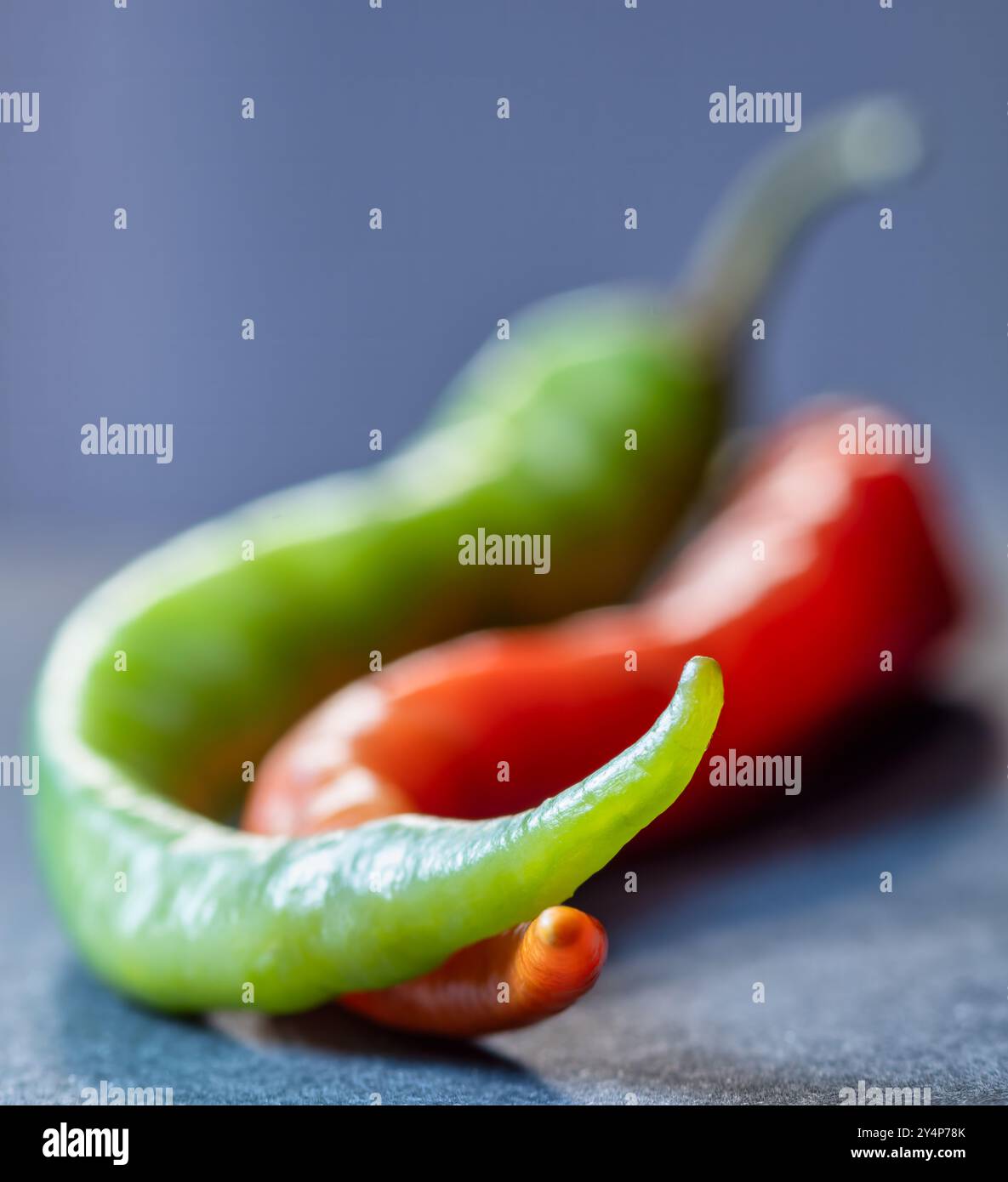green an red chilli closeup and color Stock Photo - Alamy
