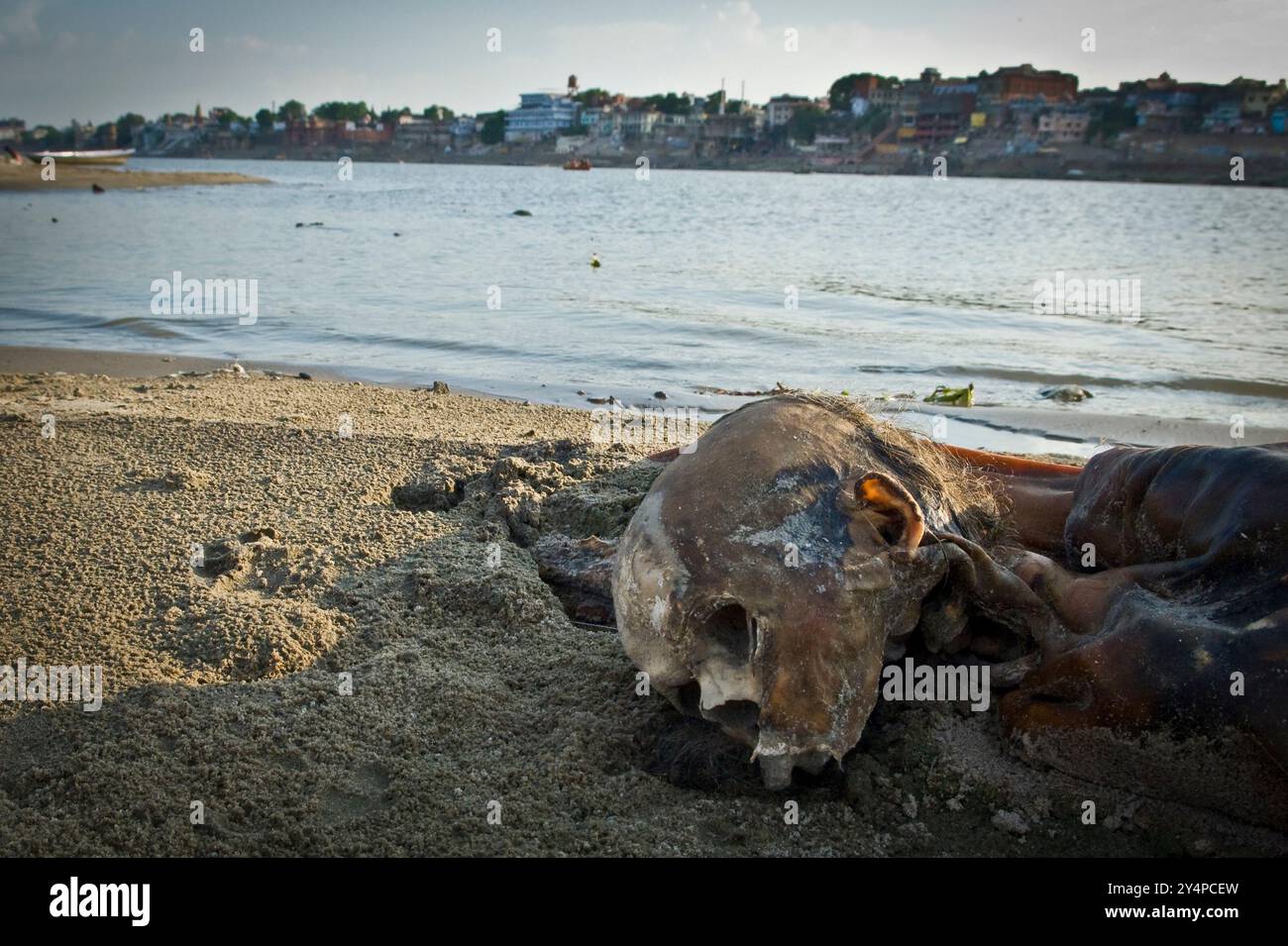 Monsoon rains and pilgrims and cremation rituals by the River Ganges ...