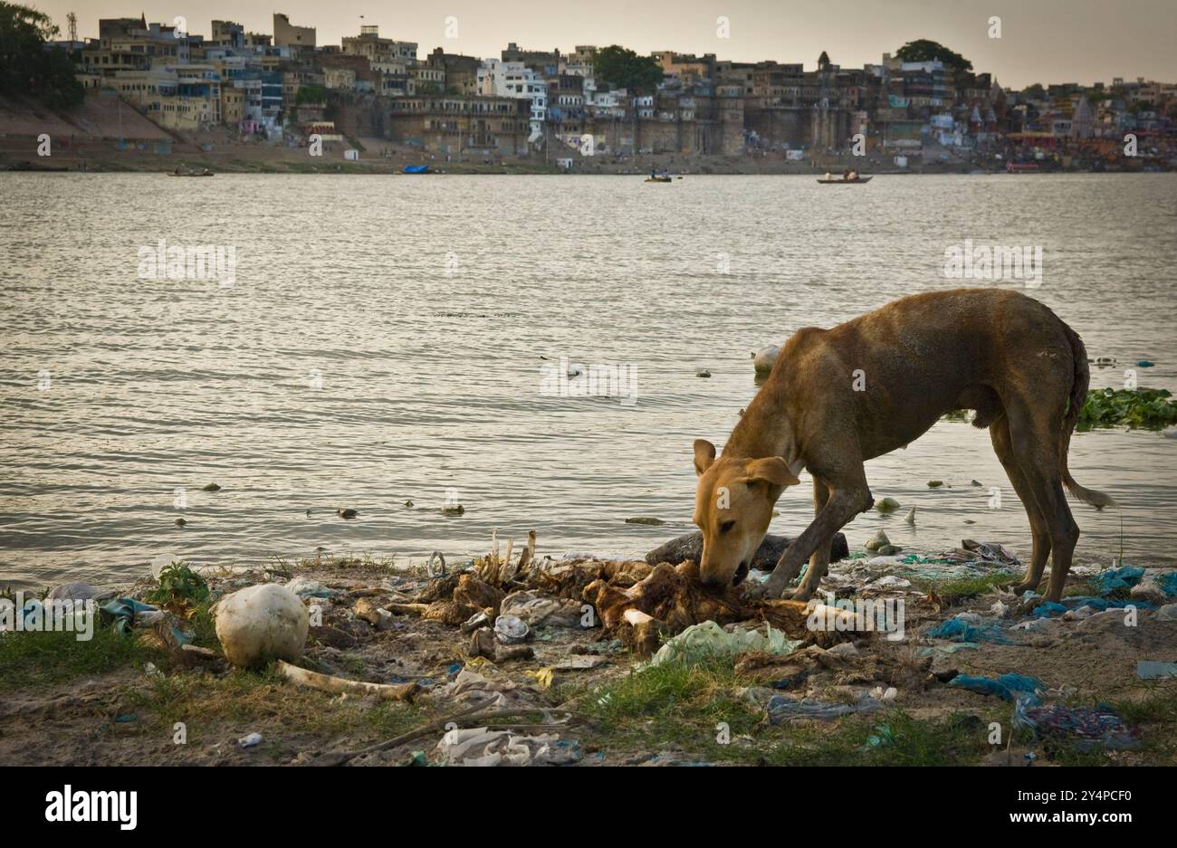 Monsoon rains and pilgrims and cremation rituals by the River Ganges ...