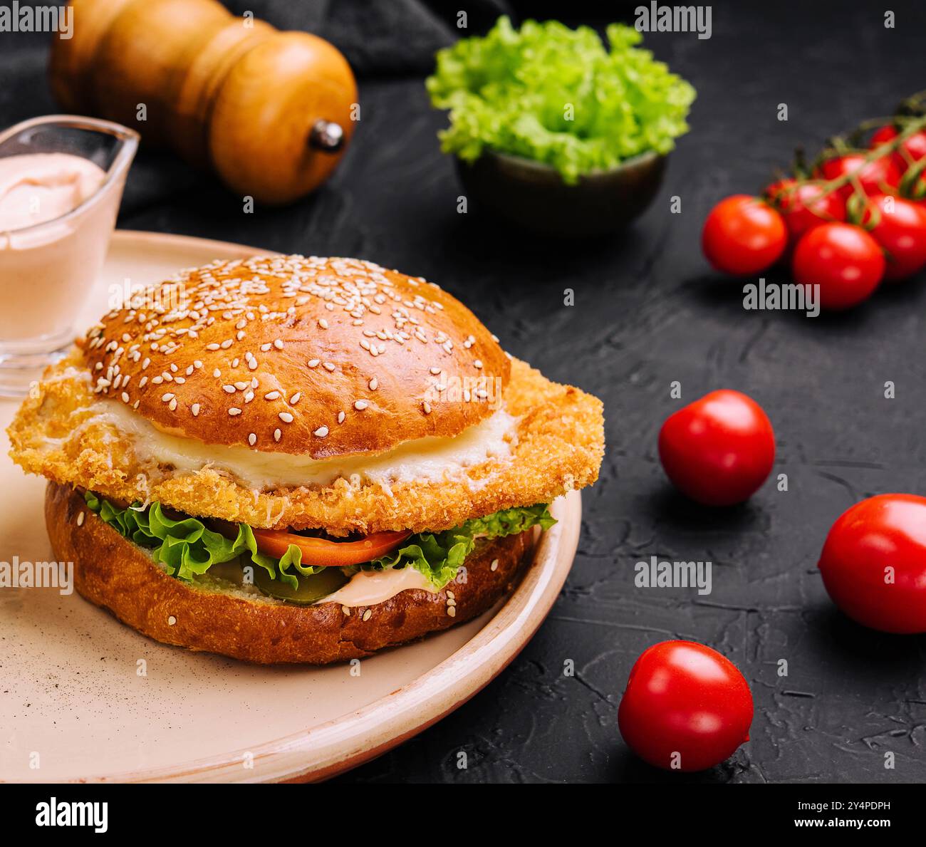 Fried chicken burger - unhealthy food style Stock Photo - Alamy