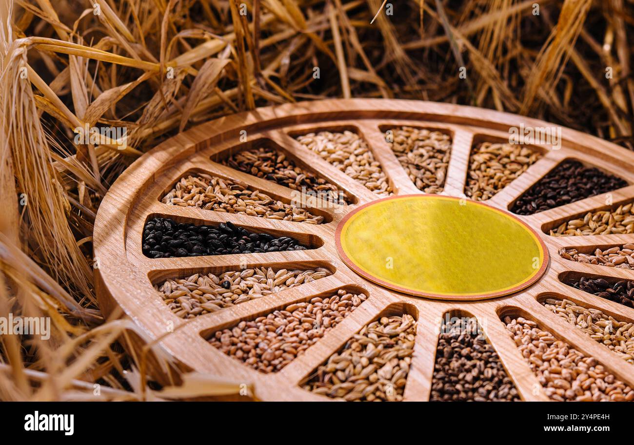 Different types of cereal grains with ears Stock Photo - Alamy