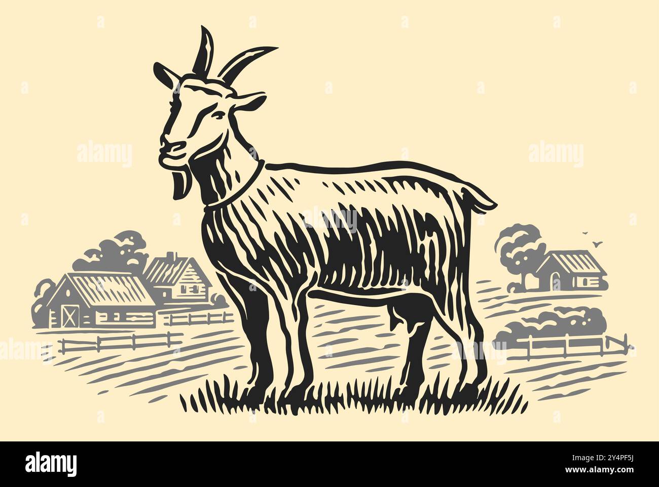 Goat standing at full height grazing in meadow against backdrop of ...