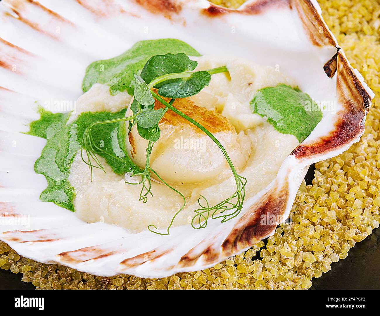 Fried seafood scallops meat with butter in a shells Stock Photo - Alamy