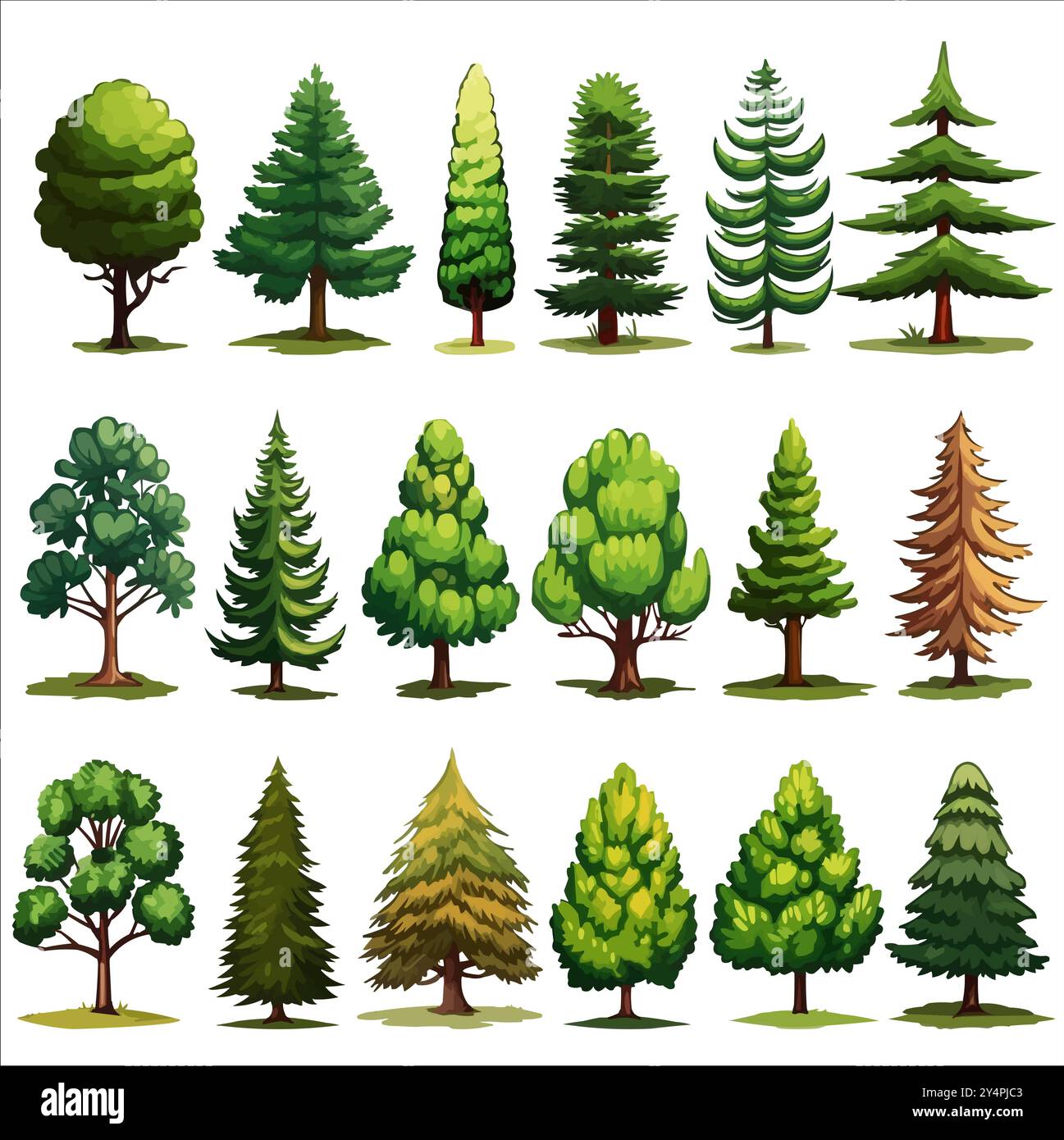 Forest evergreen tree vector set. Conifer woodland illustrations Stock ...
