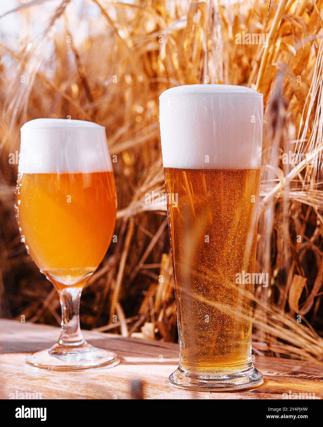 Beer barrel two glasses hi-res stock photography and images - Alamy