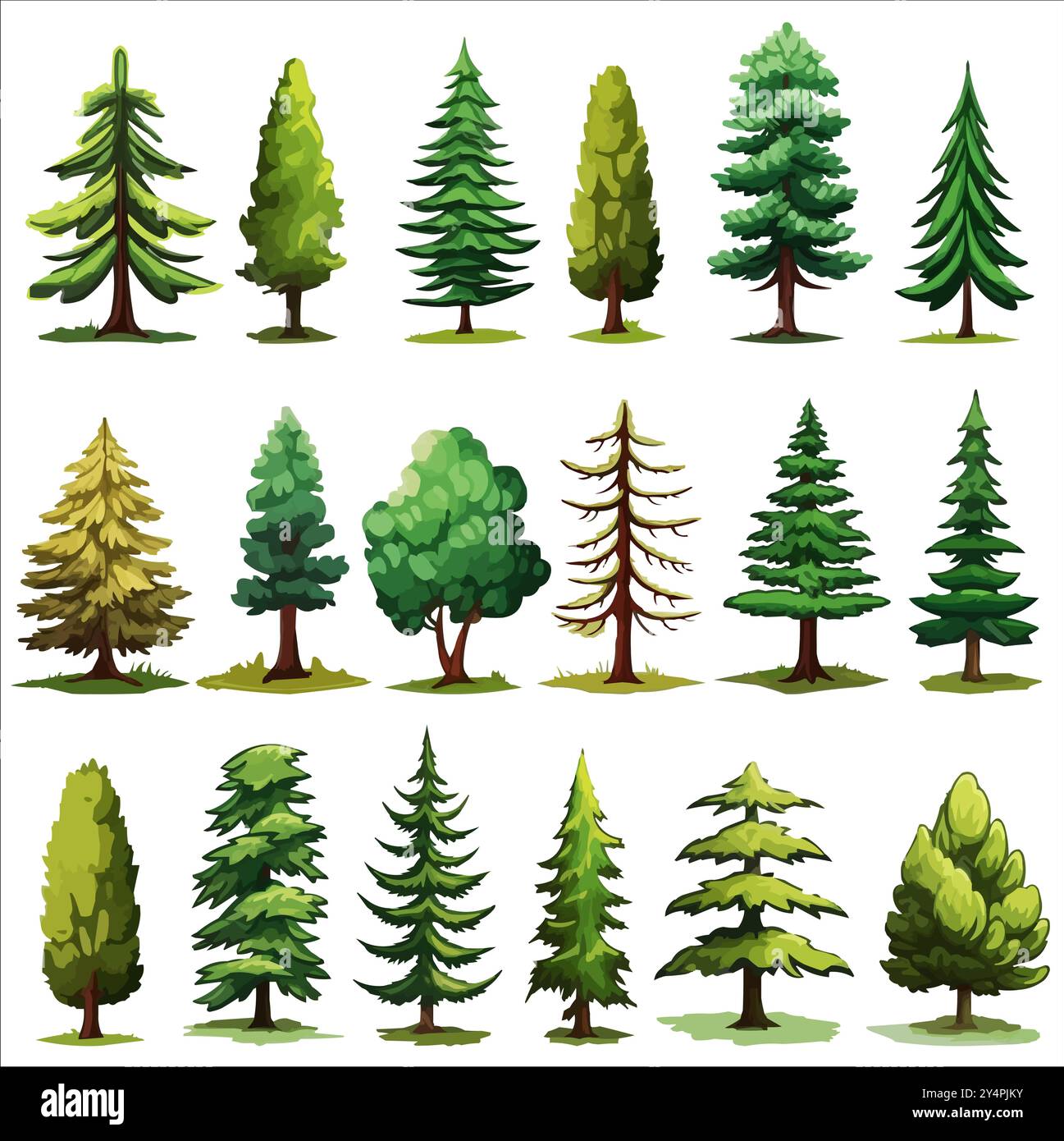 Forest evergreen tree vector set. Conifer woodland illustrations Stock ...