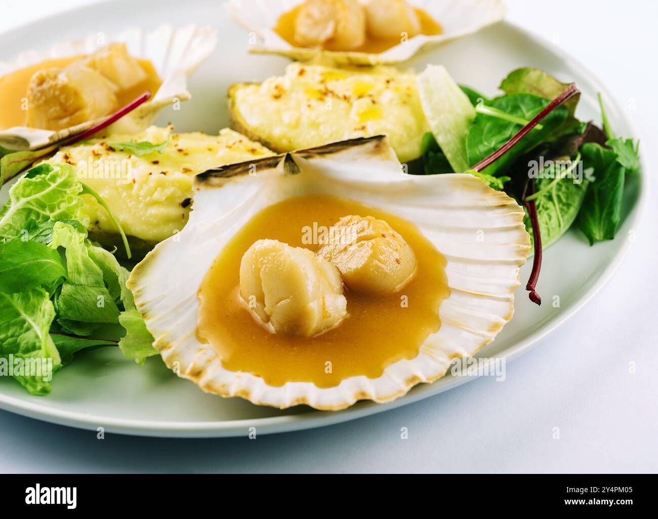 Seared scallops shell with butter on plate Stock Photo - Alamy
