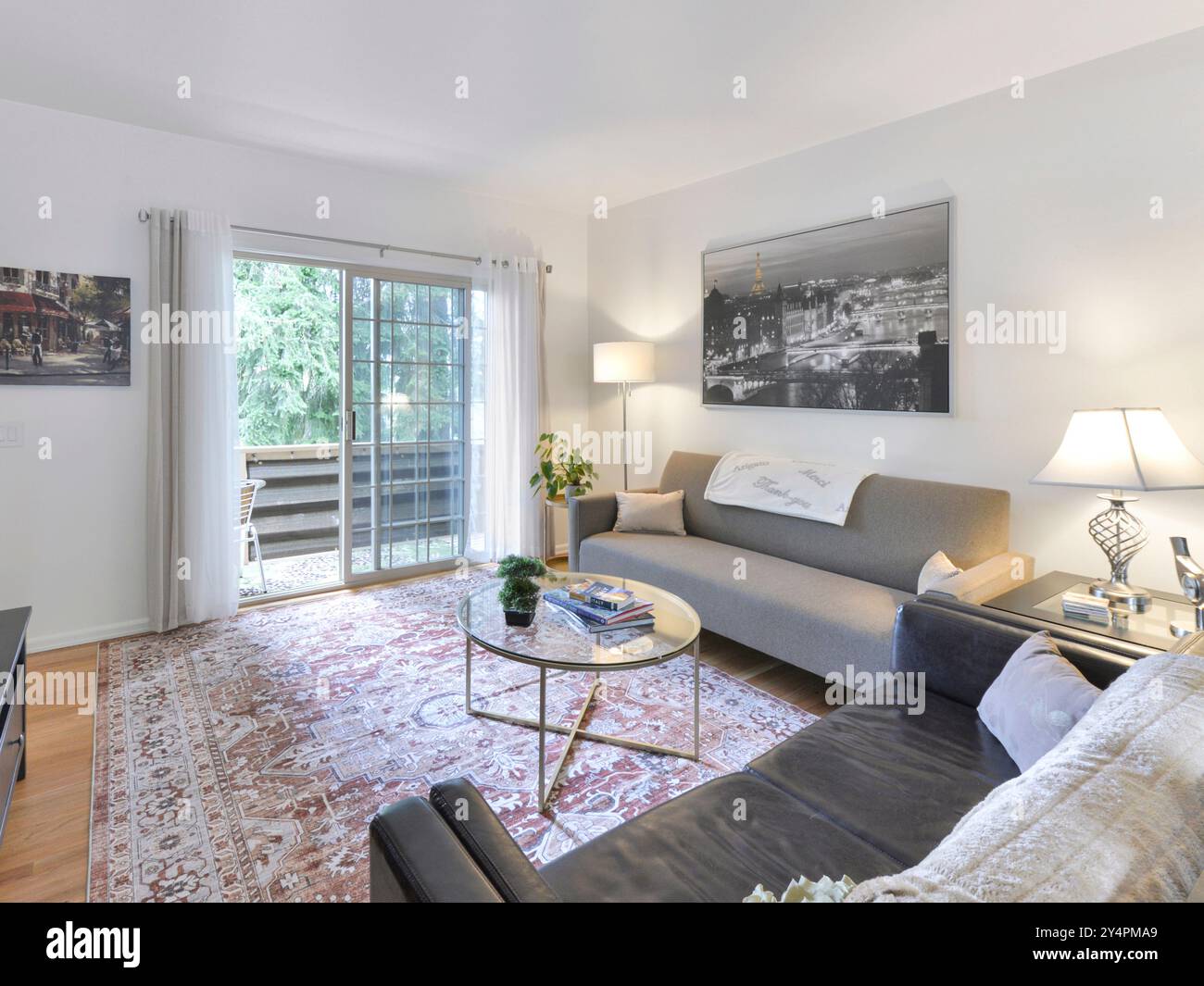Modern residential living room interior Stock Photo - Alamy