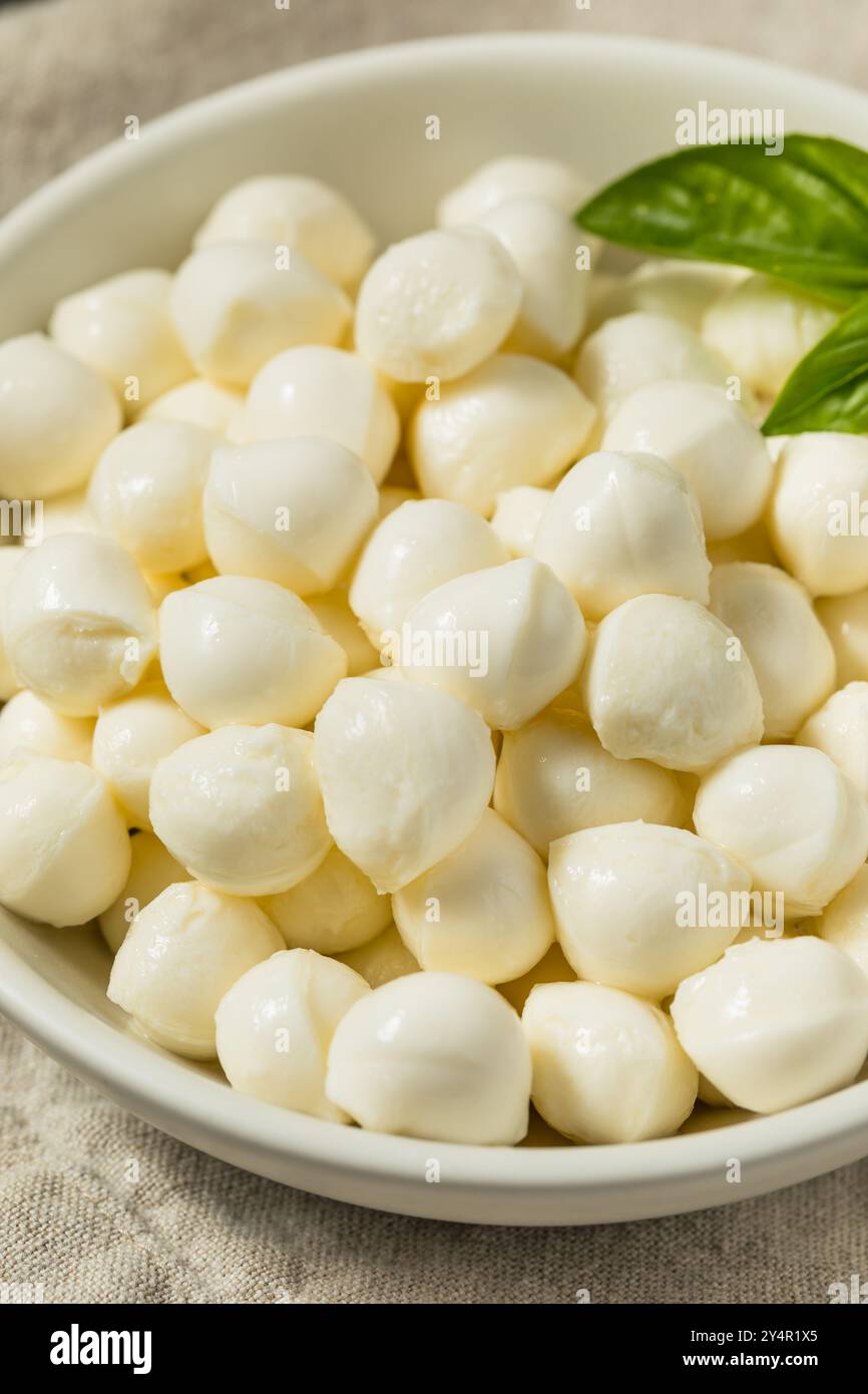 Organic White Mozzarella Pearls Cheese in a Bowl Stock Photo - Alamy