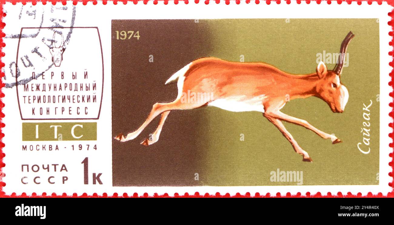 Photo of a 1 Russian kopek postage stamp Saiga Antelope Saiga tatarica ...