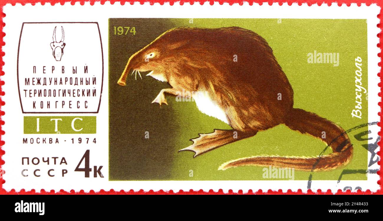 Photo of a 4 Russian kopeks postage stamp Russian Desman Desmana ...