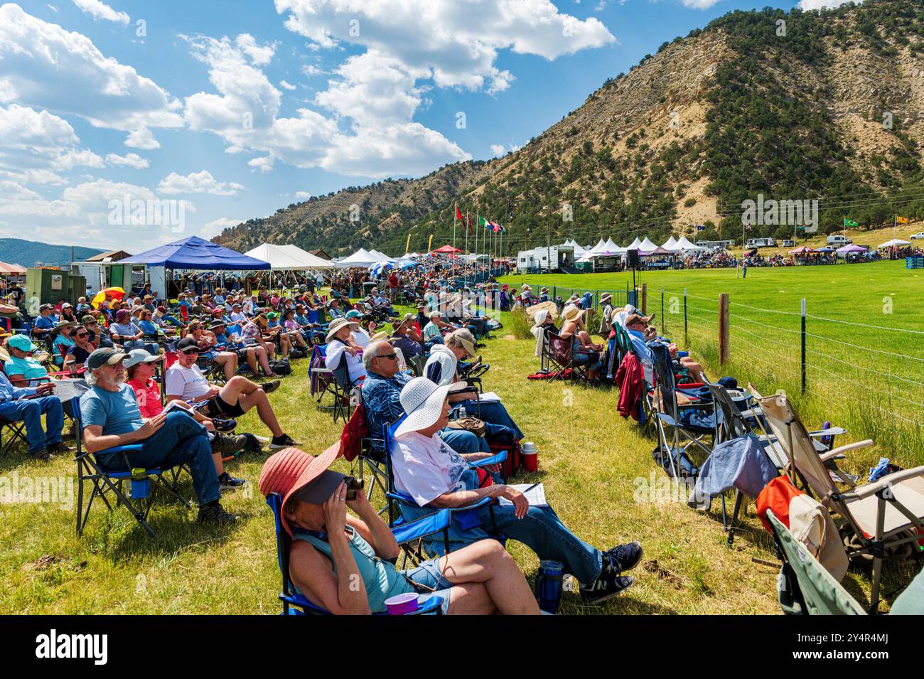 Sheep spectators crowd watching hi-res stock photography and images - Alamy