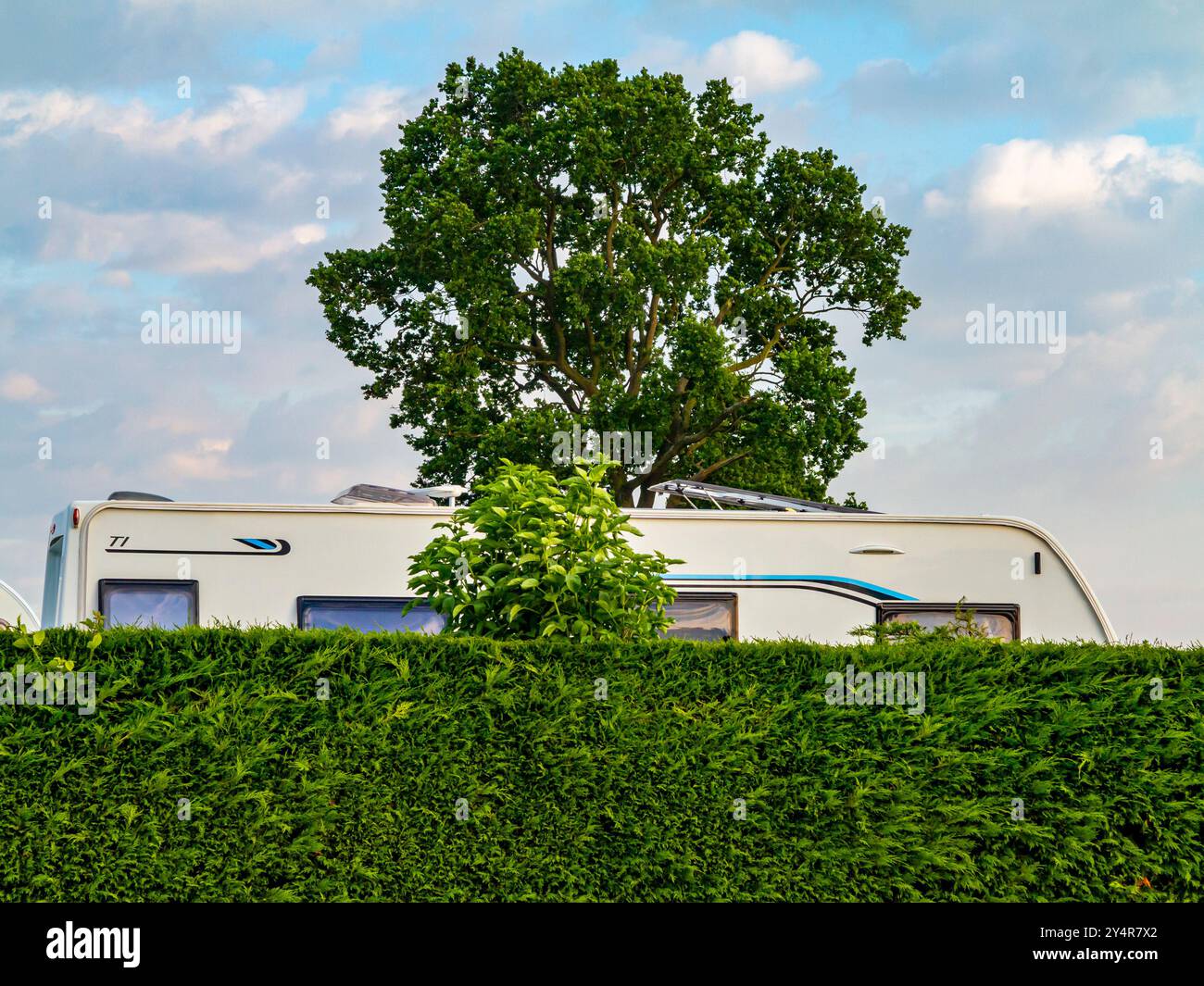 Touring caravan on a campsite with green hedge in foreground and tree ...